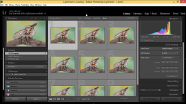 Video Tutorials - Helicon Soft